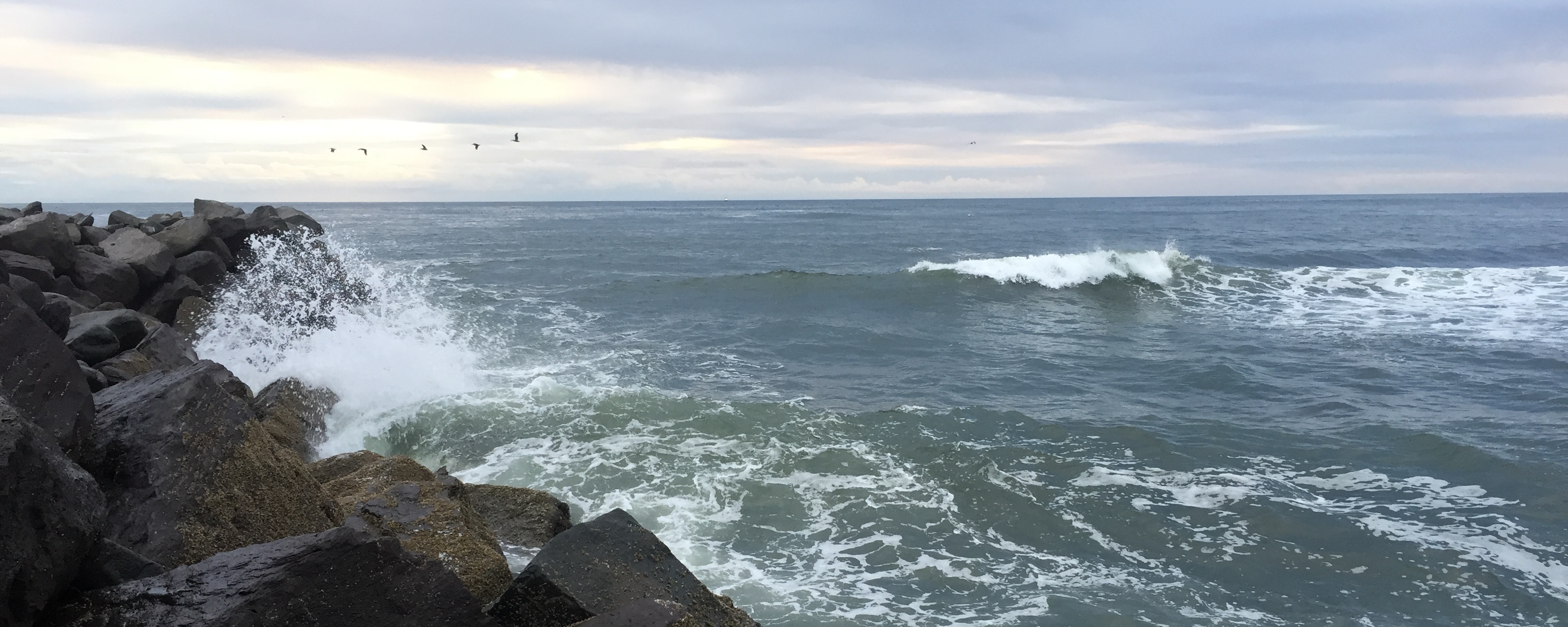 More than a feeling - InterPlay Academy